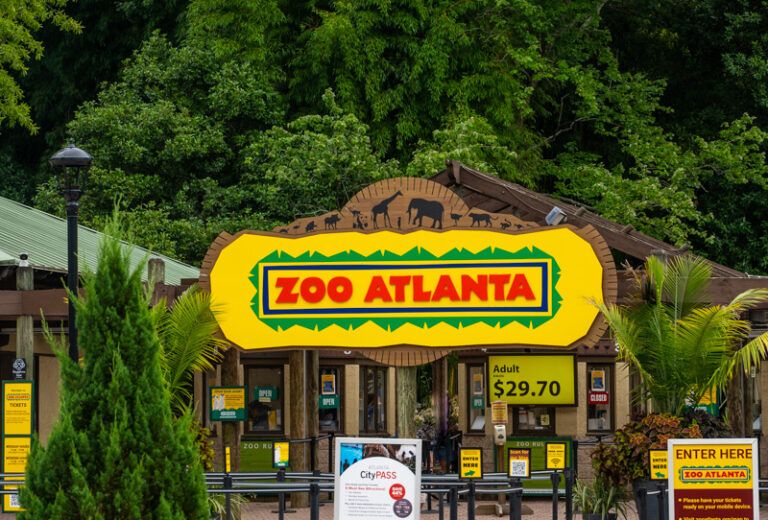 Zoo Atlanta Review – Is Zoo Atlanta Worth It?